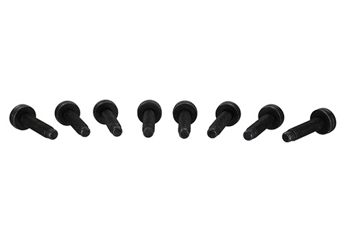 Tube Door Grab Handle | Accessories | Ford.com