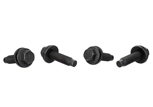 Raptor 2017-2022 FPP Bead Lock Ring Bolt Kit | Accessories | Ford.com