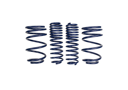Mustang Shelby GT500 2007-2014 Springs | Accessories | Ford.com