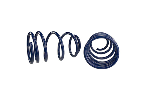 Mustang Shelby GT500 2007-2014 Springs | Accessories | Ford.com