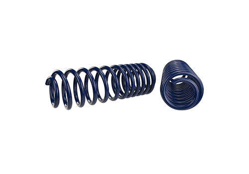 Mustang Shelby GT500 2007-2014 Springs | Accessories | Ford.com
