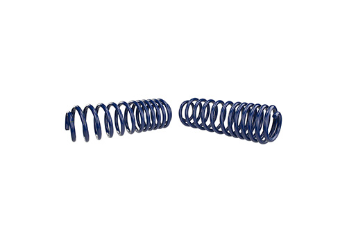 Mustang Shelby GT500 2007-2014 Springs | Accessories | Ford.com