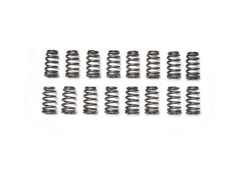 PAC 1219X Beehive Valve Spring set of 16 | Accessories | Ford.com
