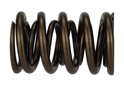 TVS-1734 Valve Spring (1) | Accessories | Ford.com