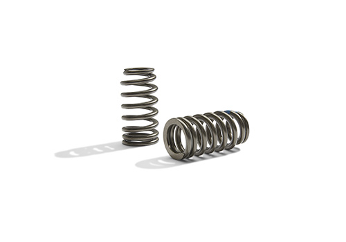 Mustang 2011-2014 Boss 302R Valve Spring Kit | Accessories | Ford.com